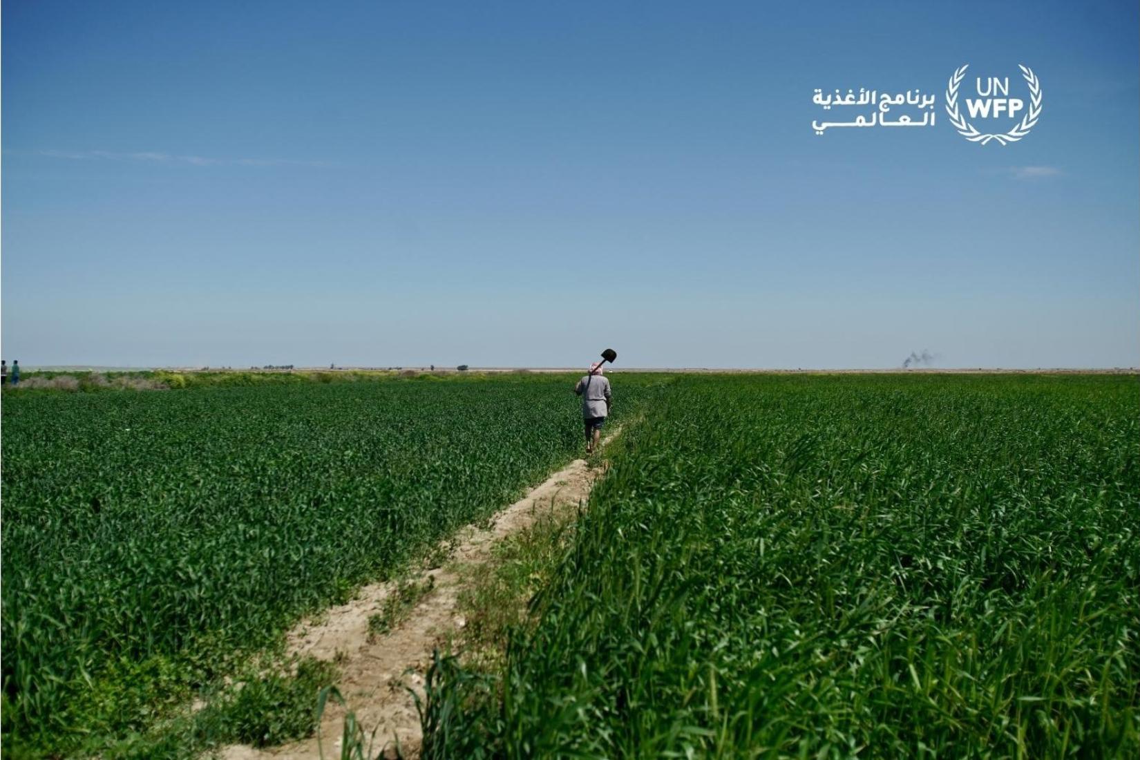 جمهورية كوريا الجنوبية تدعم مساعي برنامج الأغذية العالمي الهادفة لدعم